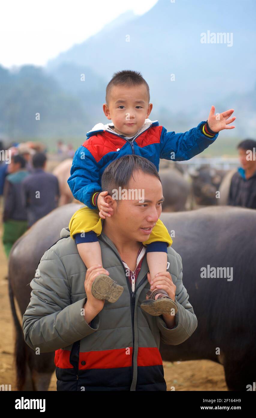 Vietnamese father with son on his shoulders at a livestock market. Bac ...