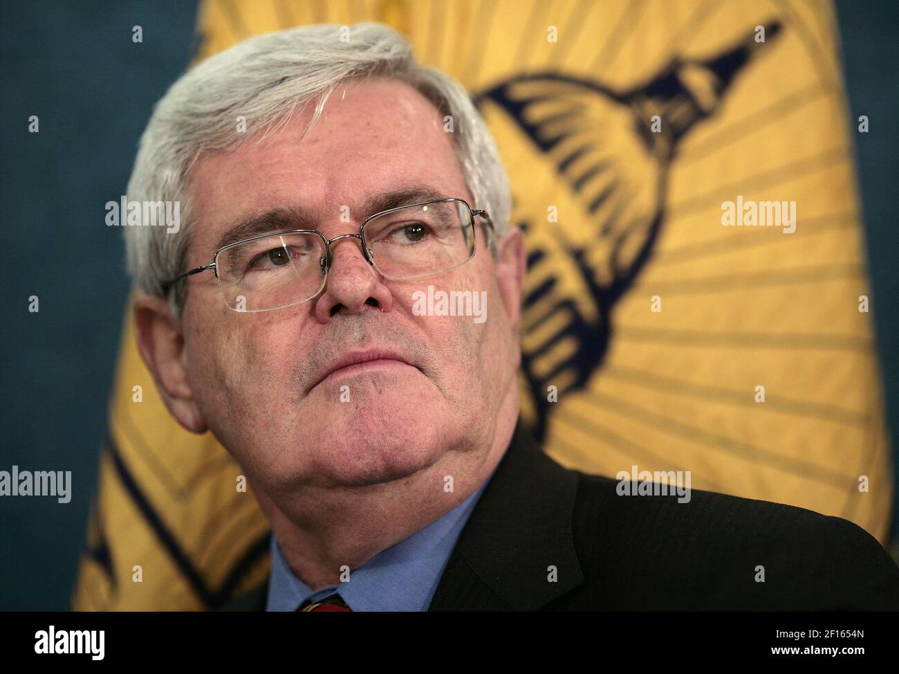 Former House Speaker Newt Gingrich takes part in a discussion of ...