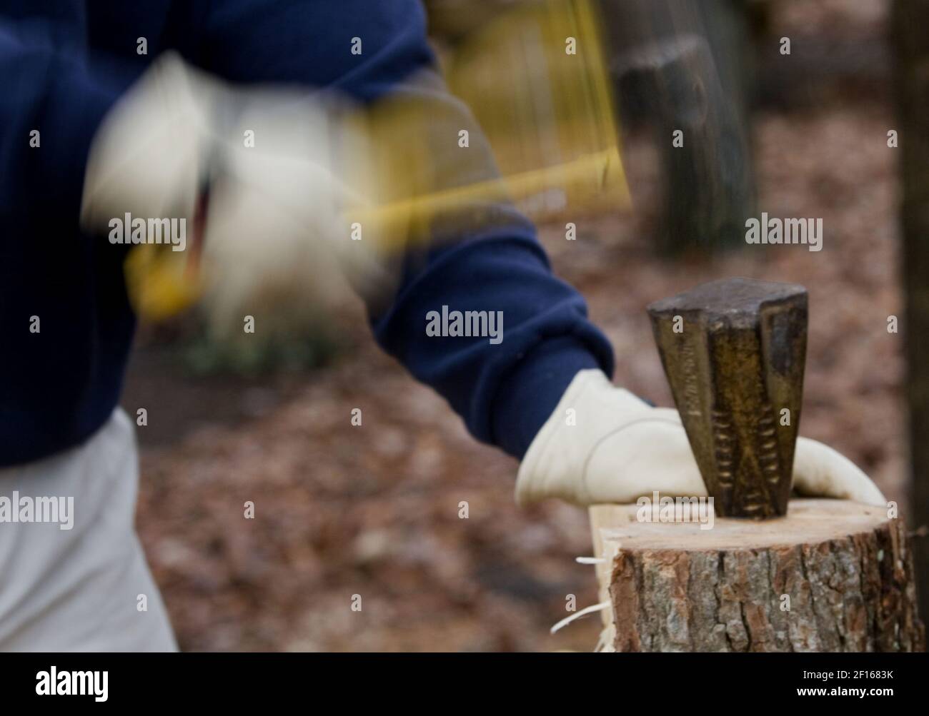 Horticultural curator Bruce Peachee uses a short-handled sledgehammer ...