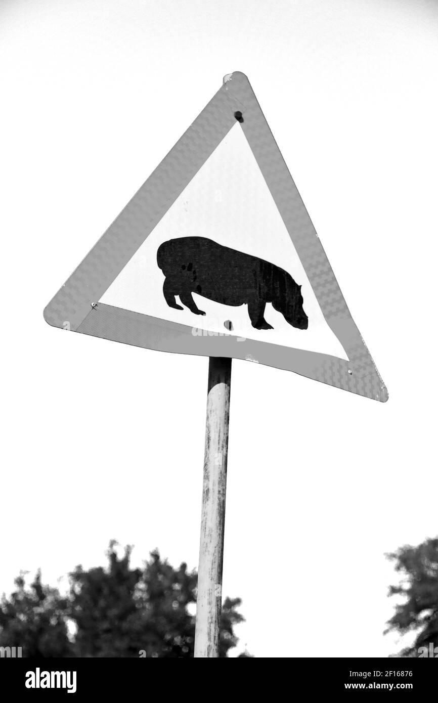 In south africa close up of the hippopotamus sign Stock Photo - Alamy
