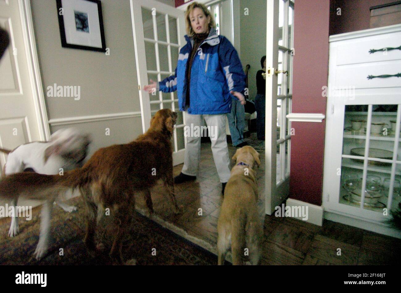 Mobile Dog Trainer Robin Scheff works with Sylis, Casey and Chloe in ...