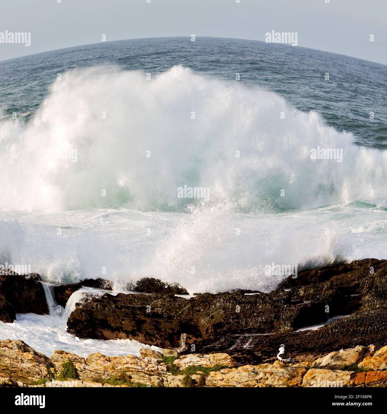 In south africa sky ocean reserve Stock Photo - Alamy