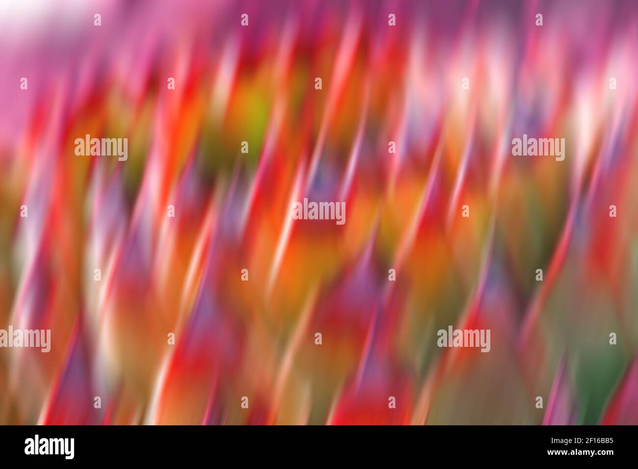 The colors and blur background texture Stock Photo - Alamy