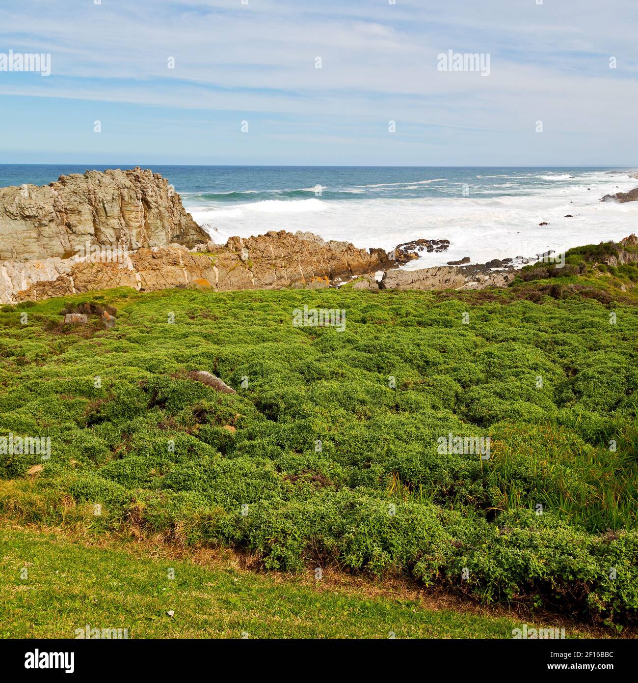In south africa sky ocean reserve Stock Photo - Alamy
