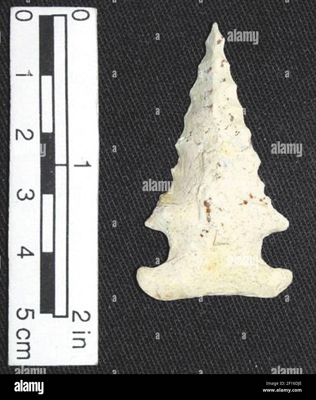 A common tool form called a Taylor point was named after the Taylor ...