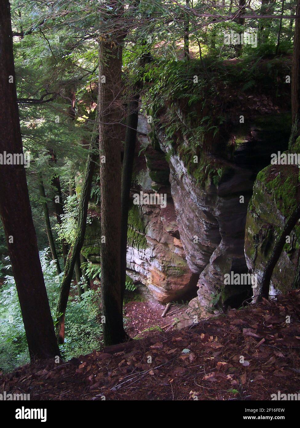 Conkle's Hollow in southeast Ohio, is a spectacular sandstone gorge ...