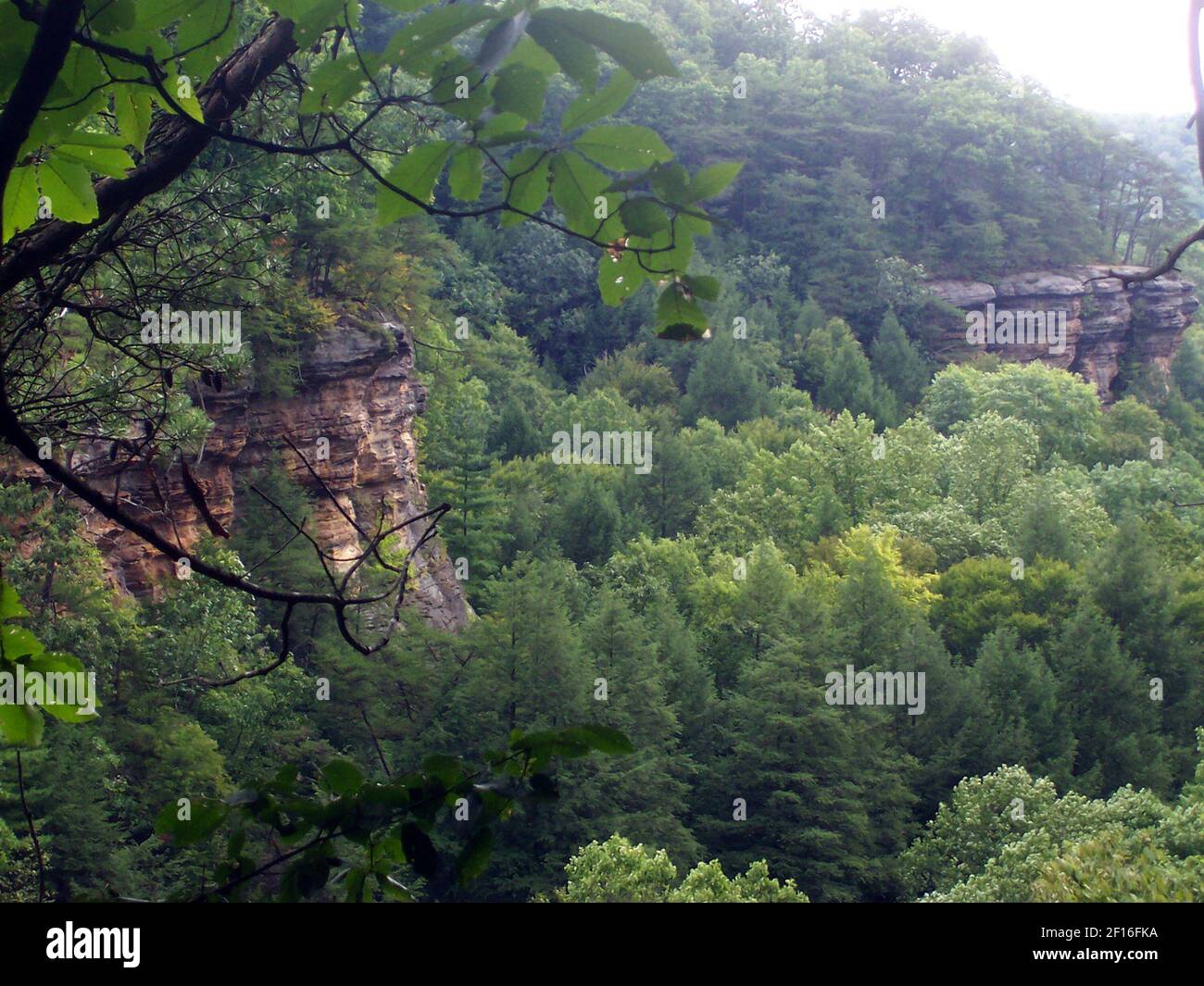 Sandstone cliffs rise above the hemlock-lined gorge at Conkle's Hollow ...