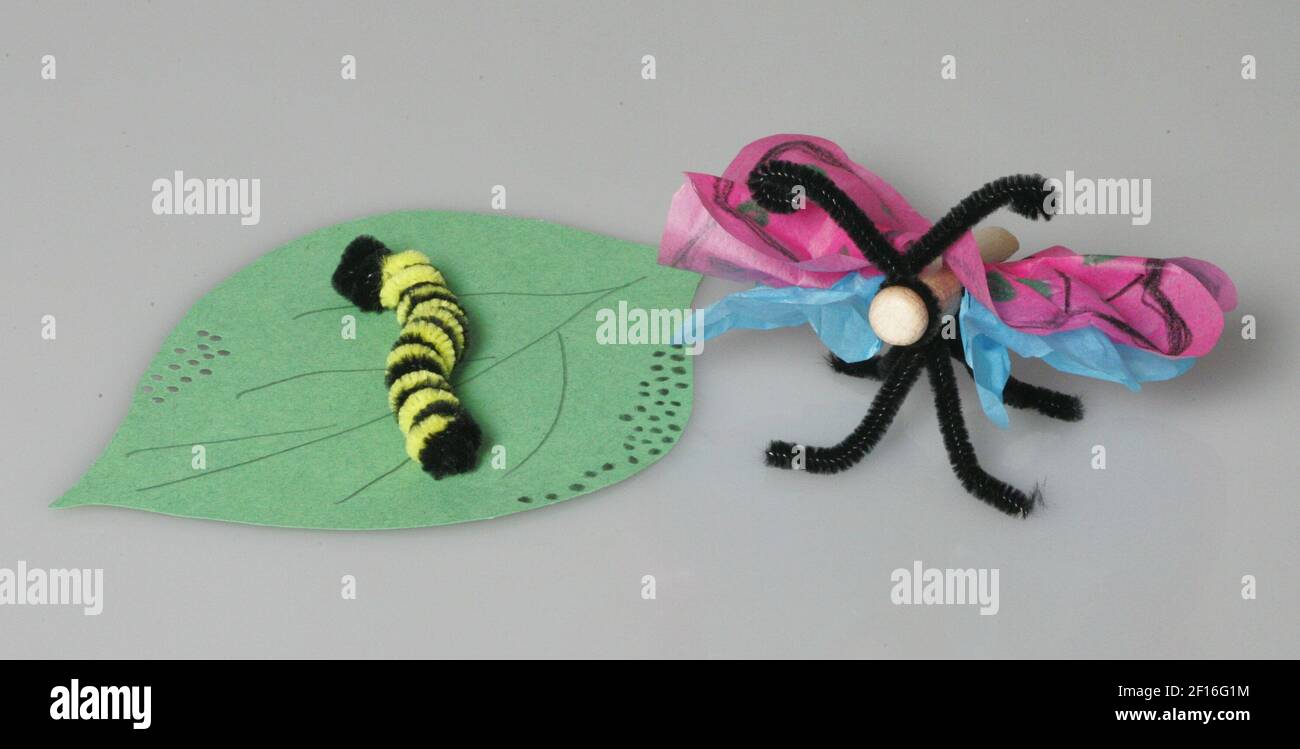 Create your own metamorphosis by crafting this caterpillar and ...