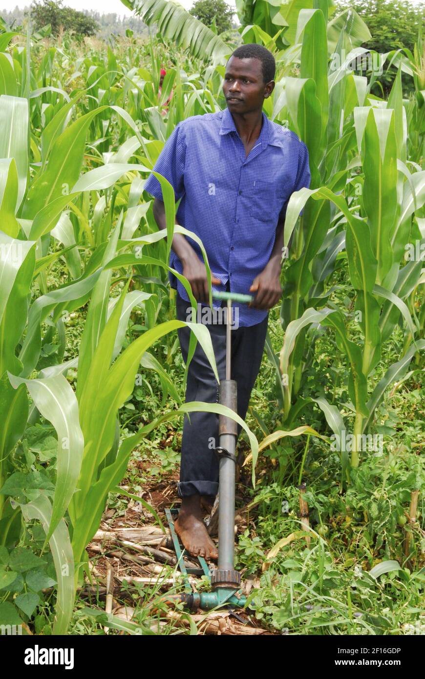 Felix Muiruri with a MoneyMaker Hip Pump on his farm in Maragua ...