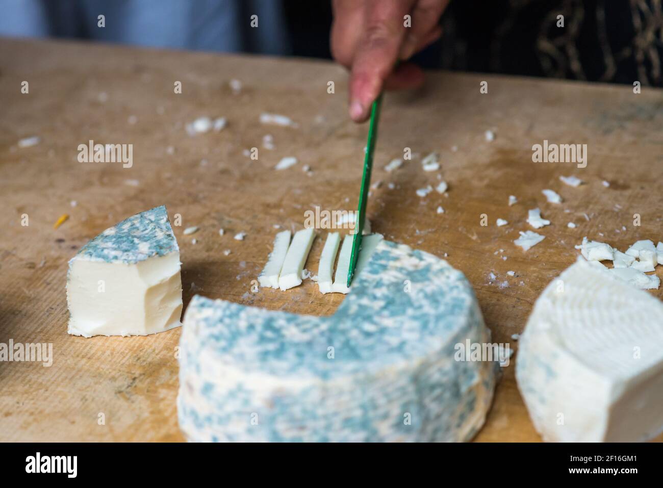 Mold types hi-res stock photography and images - Alamy