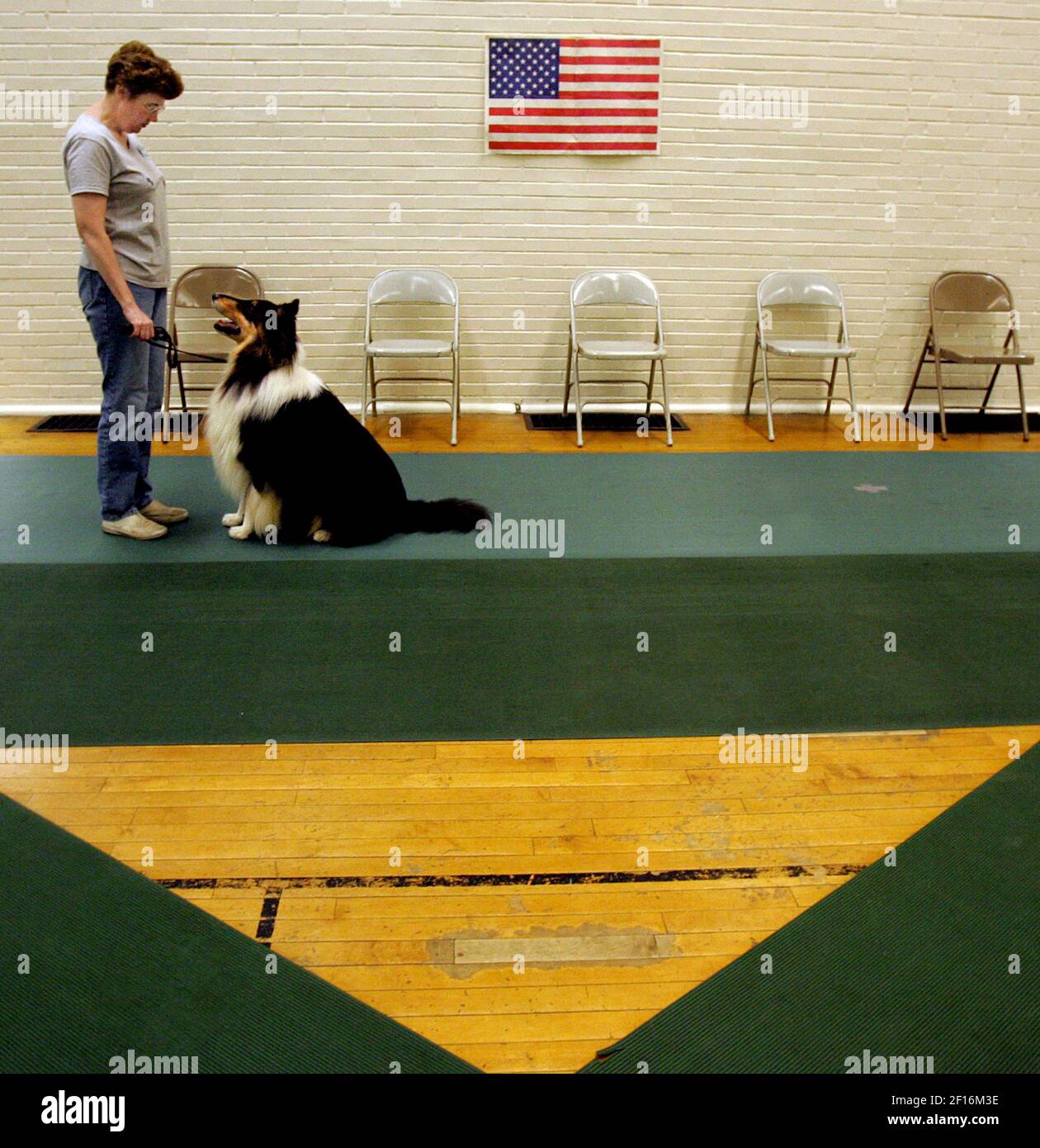 Martha Hoffman teaches her collie, Kyrie, the return to heel position during Carol Frederick's ...