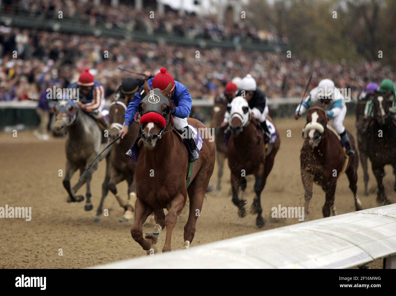 Thor's Echo with rider Corey Nakatani wins the Breeders' Cup Sprint ...