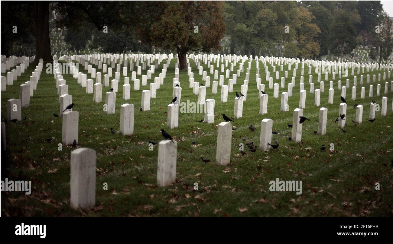 Crows cemetery High Resolution Stock Photography and Images - Alamy