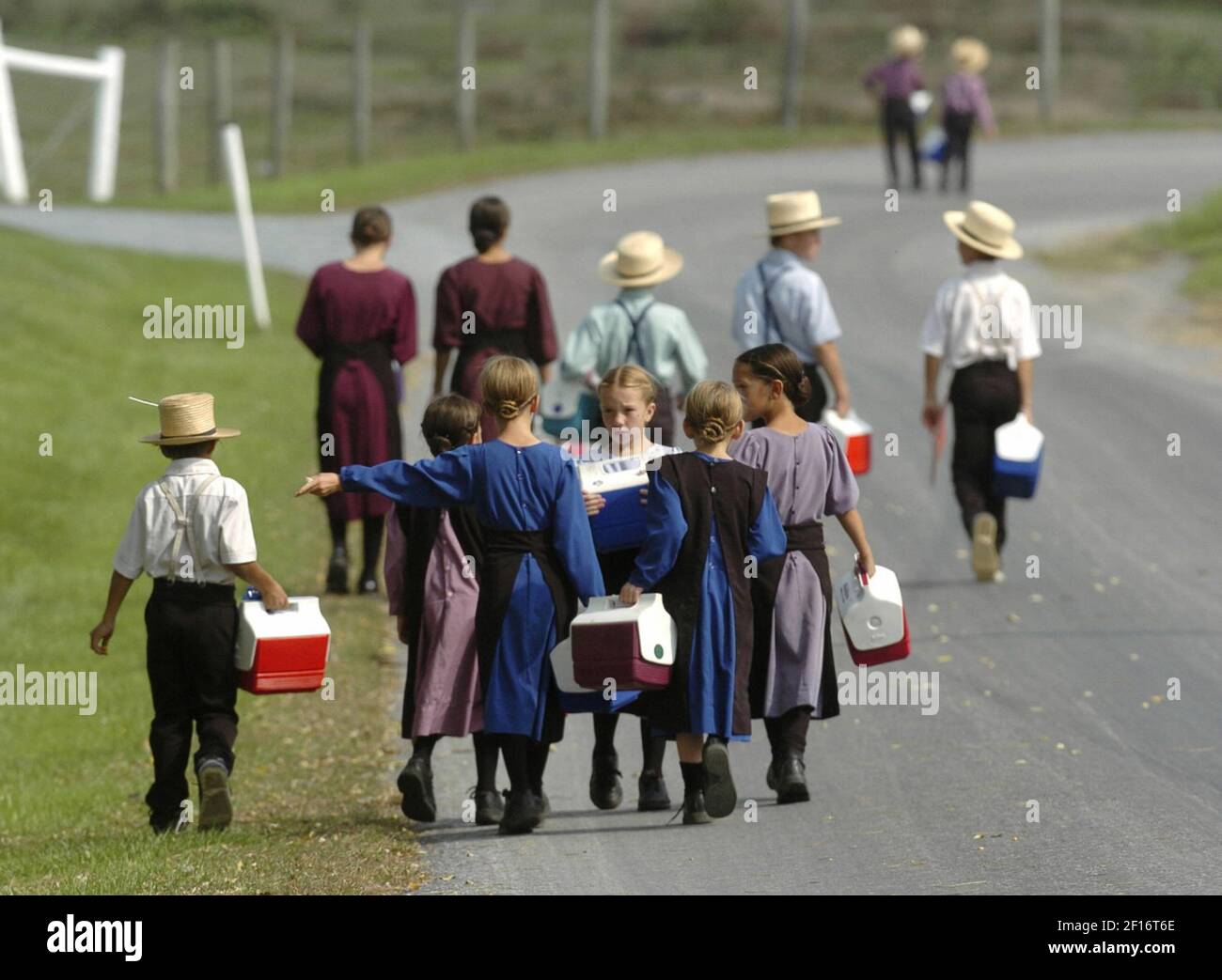 A group of Amish children walk home from school with their lunch boxes ...