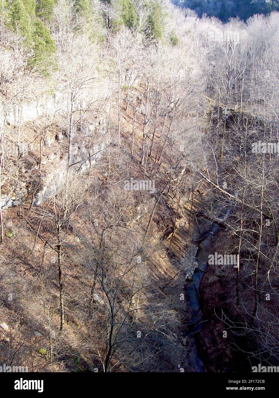 Above ground outside Mammoth Cave offers such views as this on the hike ...