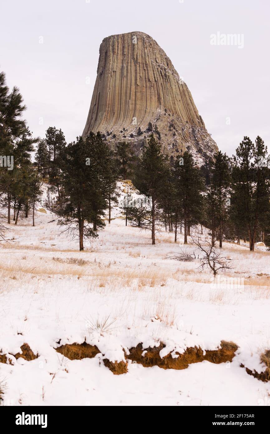 Devils Tower Wyoming Winter Snow Rock Butte Stock Photo - Alamy