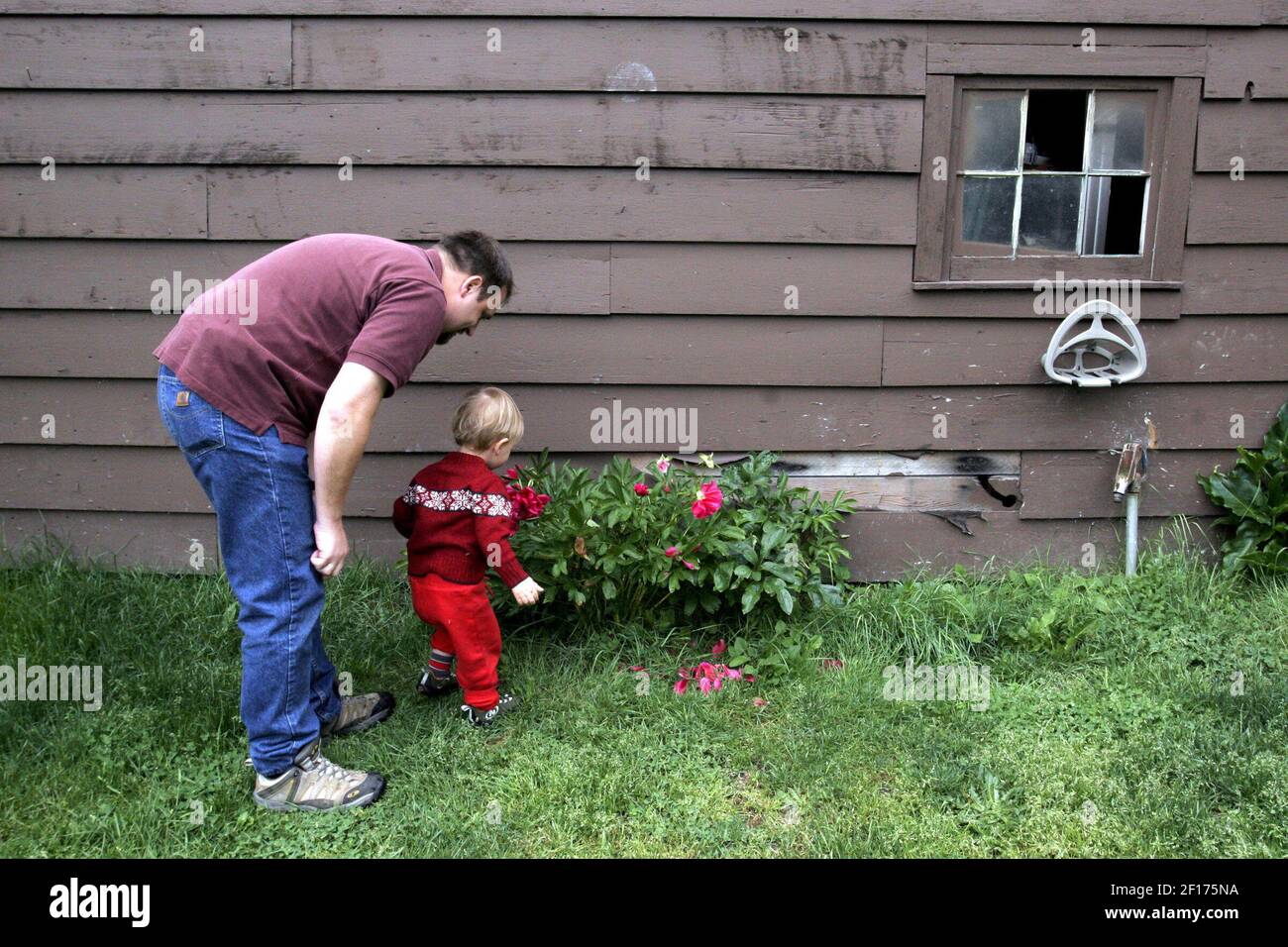 Chris Yeargin and his two year old son Ethan check out the flowers in ...