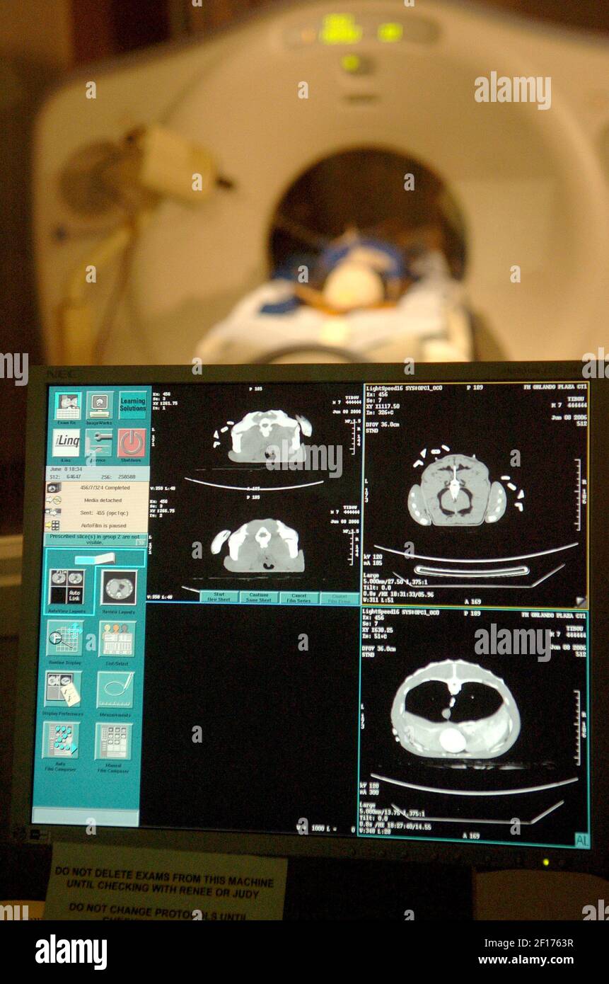 A computer screen shows a cross-section of an alligator after dye has ...