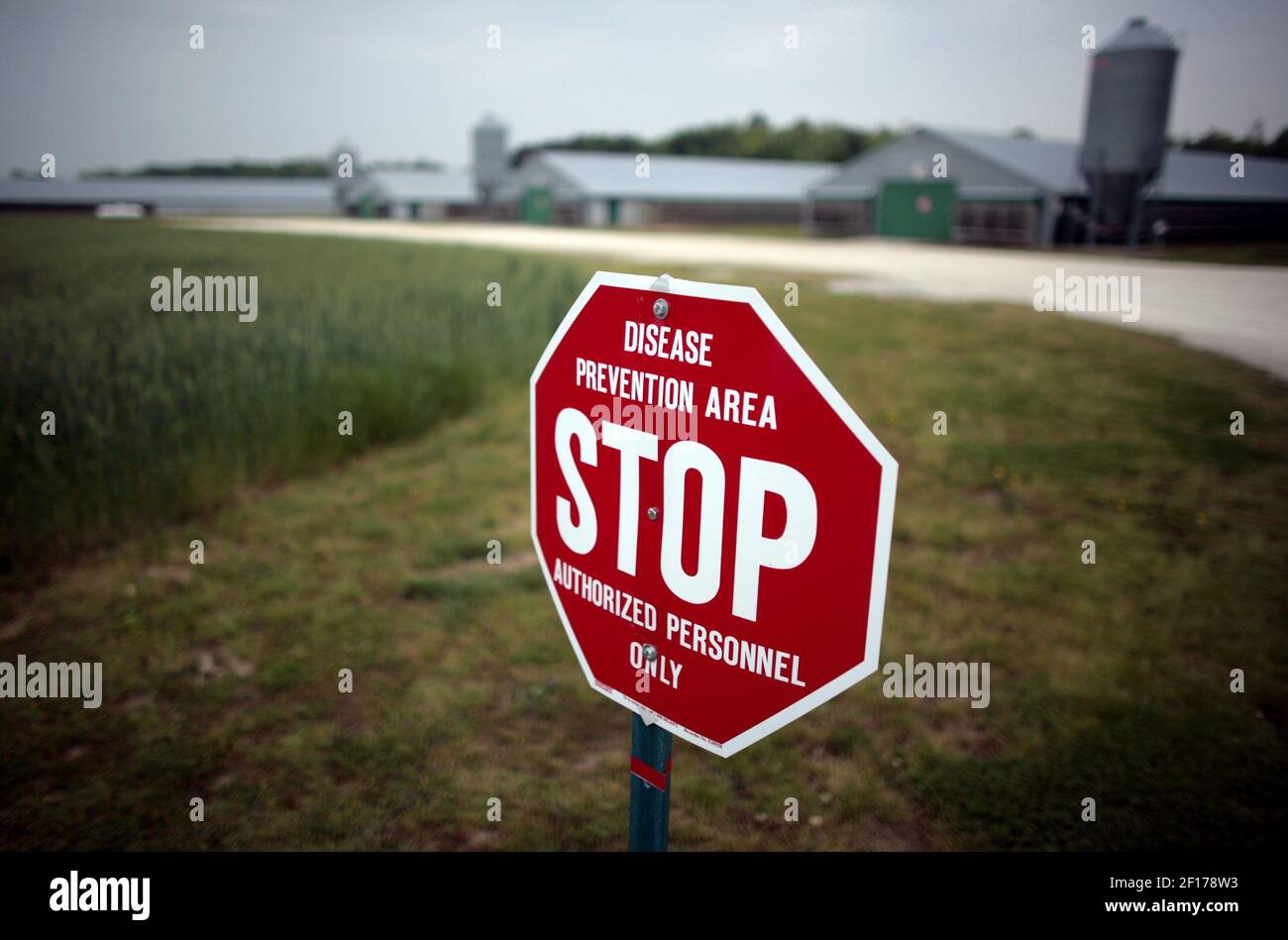 Signs mark zones around a Perdue poultry grower in Virginia's Delmarva ...