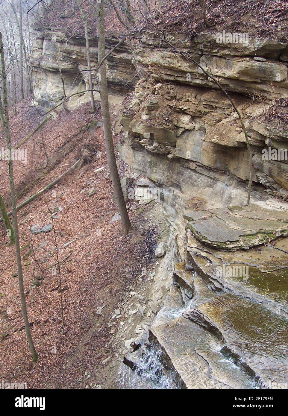 Rock outcrops line the canyon walls at Clifty State Park, near Madison ...