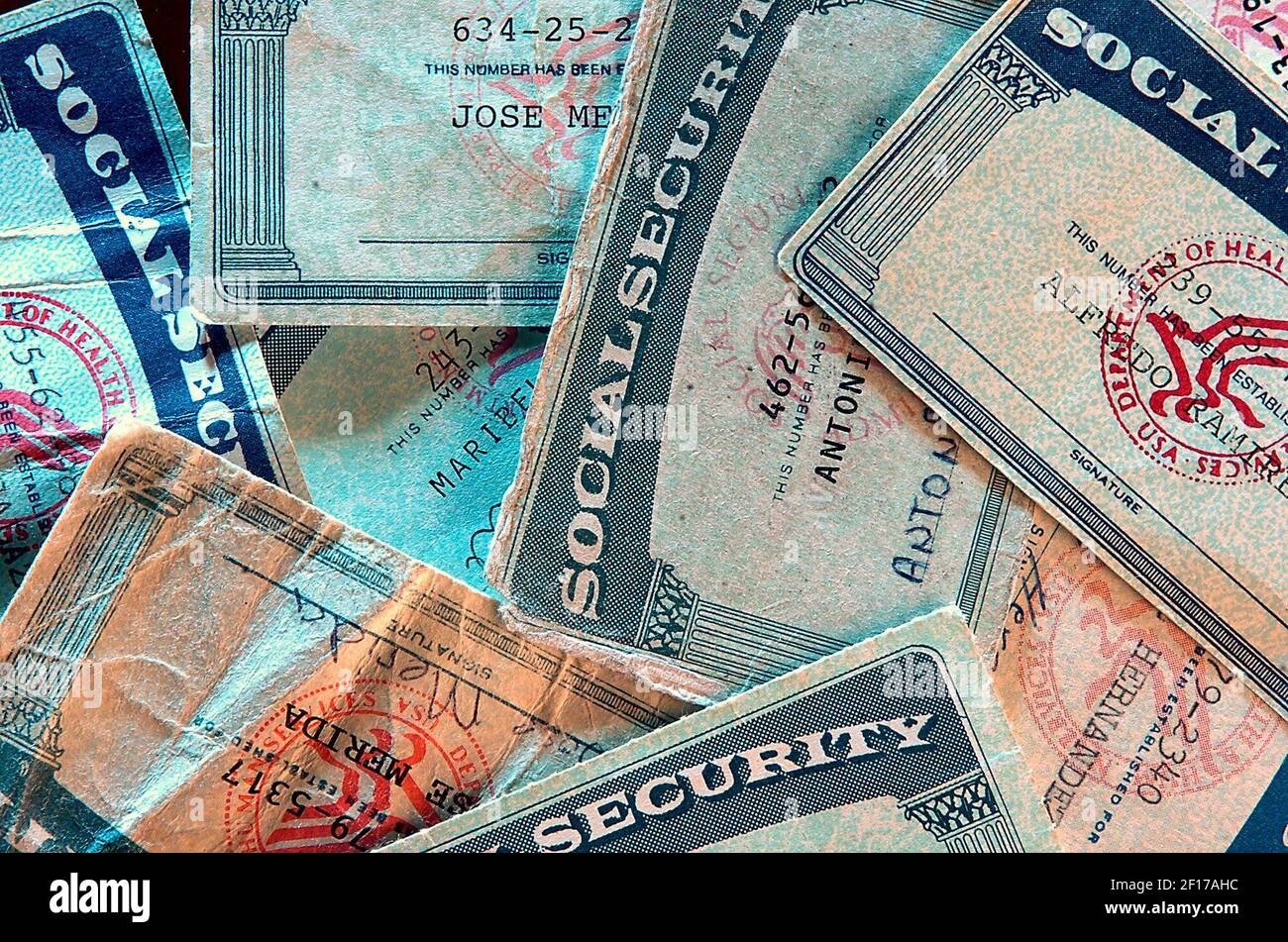 Fake Social Security cards, that have been seized but authorities, lay ...