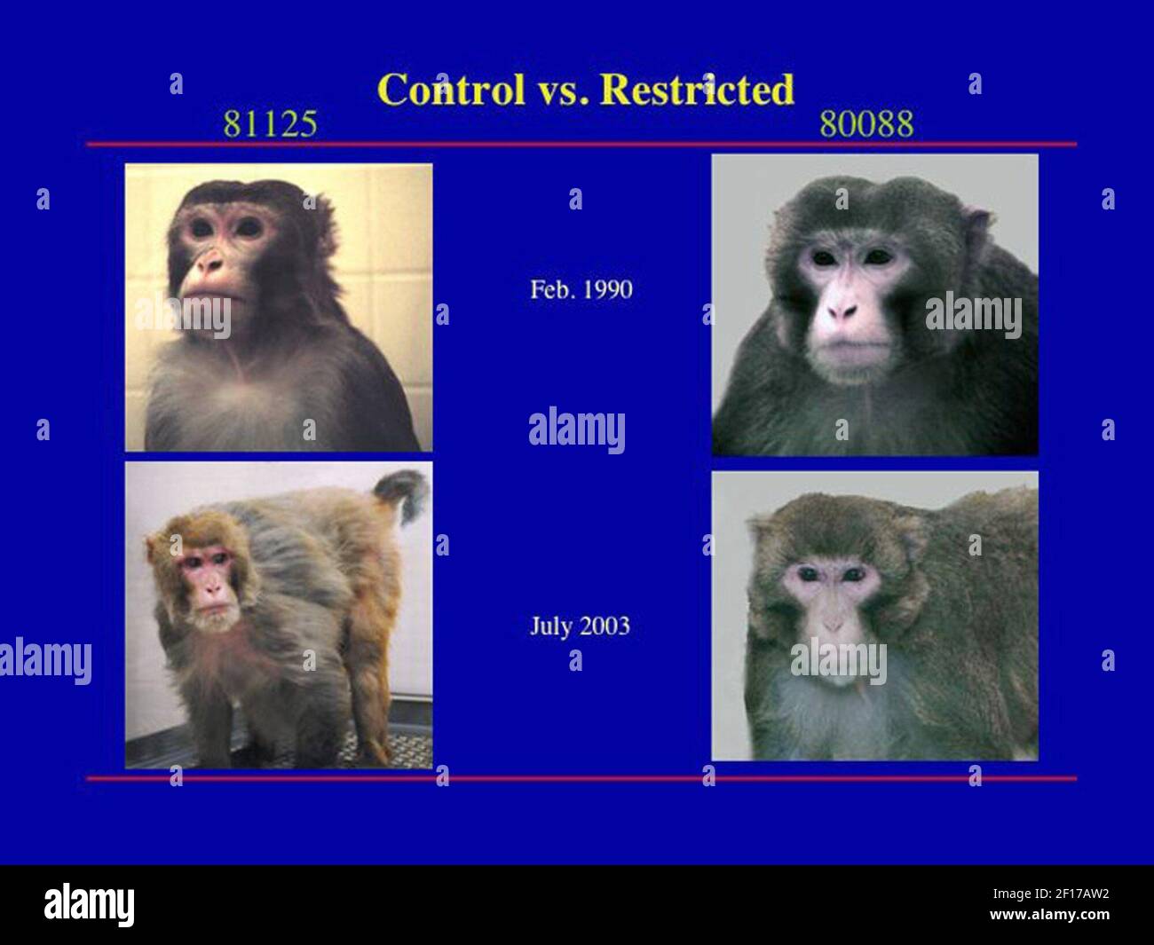 Picture taken at the start of the experiment in 1990 show less signs of ...