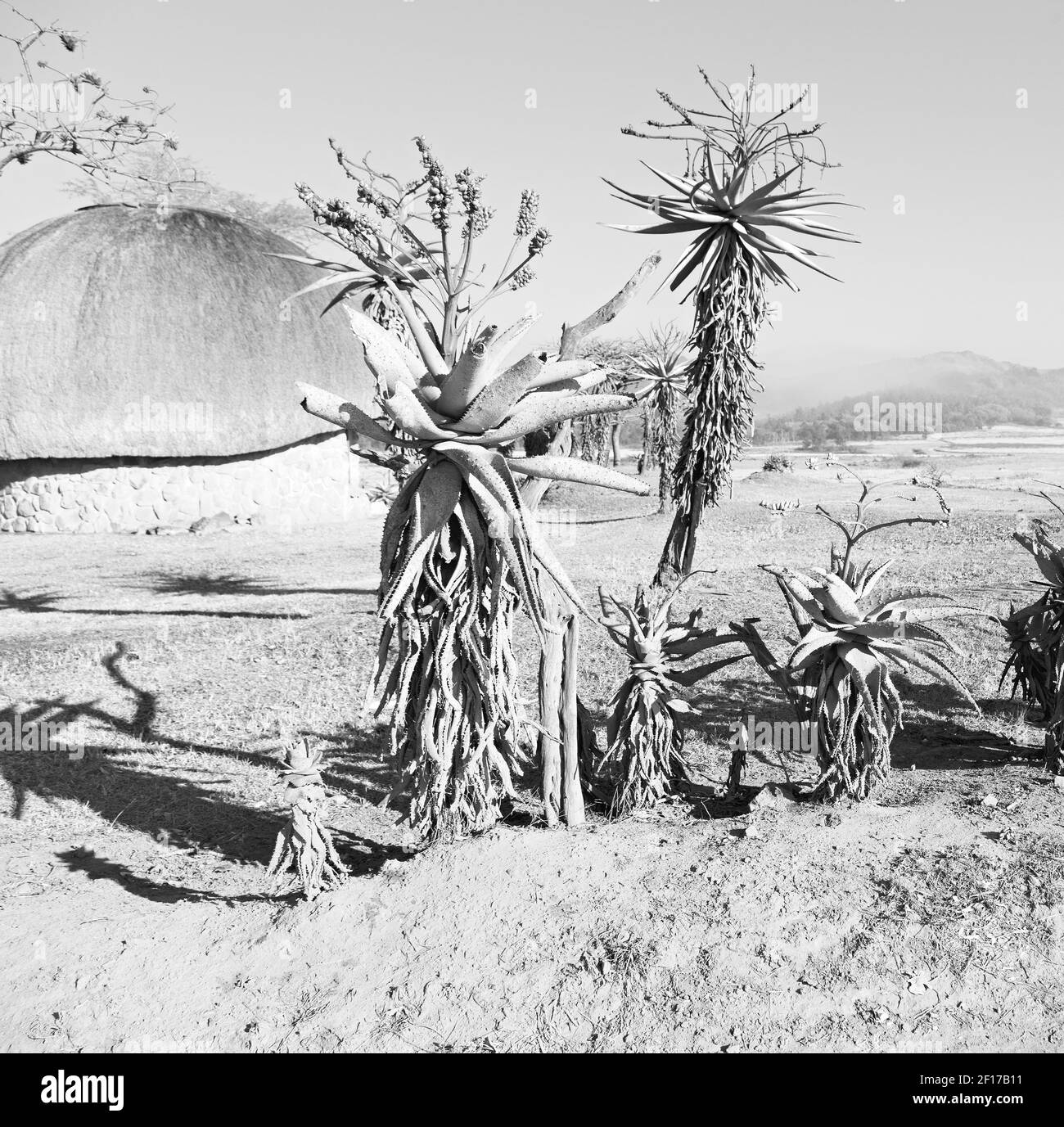 Swaziland landscape Black and White Stock Photos & Images - Alamy