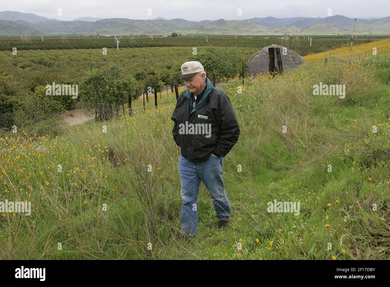 Harvey Bailey, 68, takes a walk on the hills that overlook his orange ...