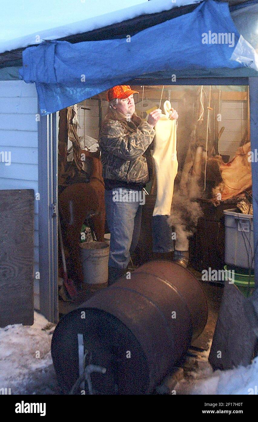 Dave Risdon takes down a smoked deer hide after it was smoked over the ...