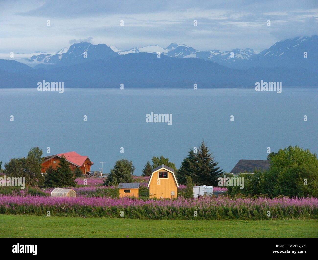 These houses overlooking Kachemak Bay were spotted during a summer ...