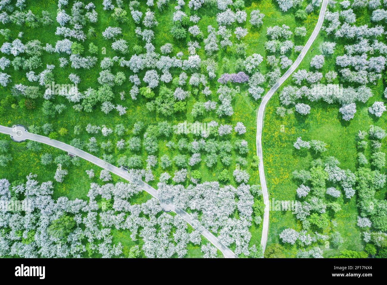 Aerial orchard rows trees hi-res stock photography and images - Alamy
