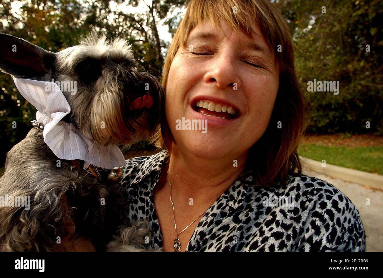 Six-year-old miniature schnauzer "Seda" gives her master Debie Turner a ...