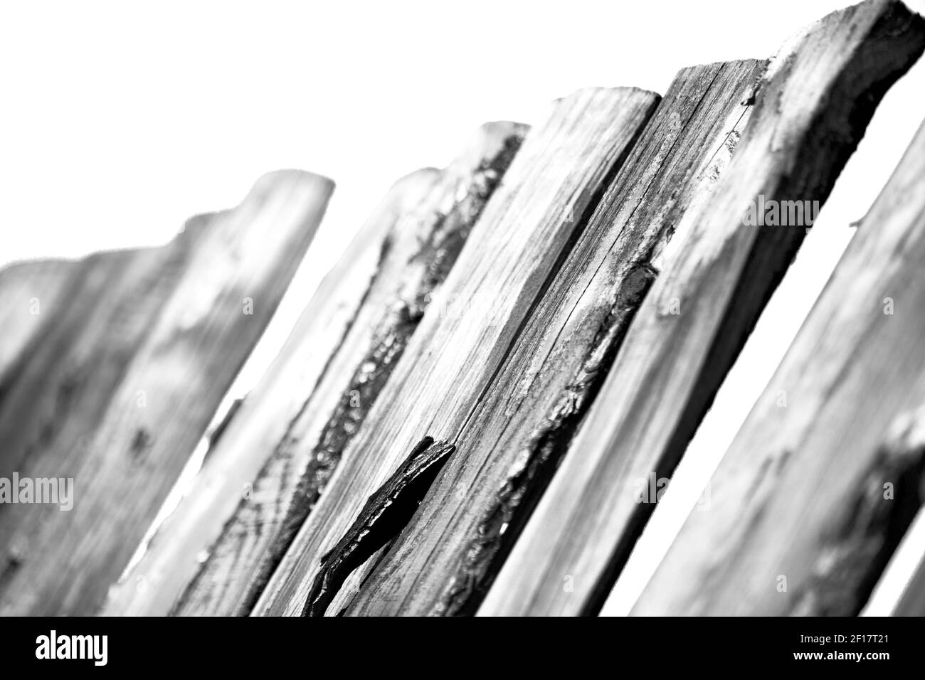 Wood like texture Black and White Stock Photos & Images - Alamy
