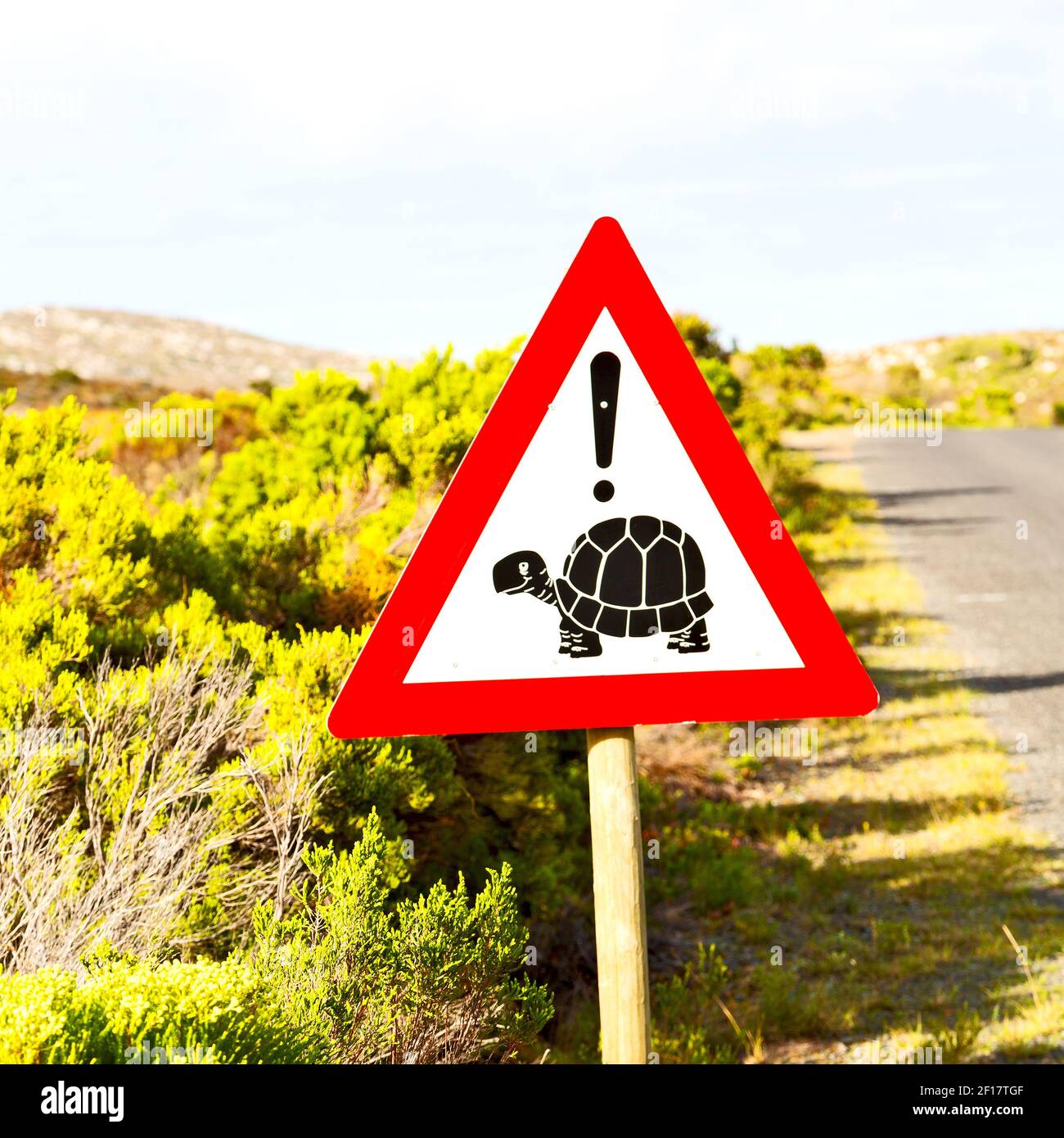 Warning sign turtle crossing road hi-res stock photography and images ...