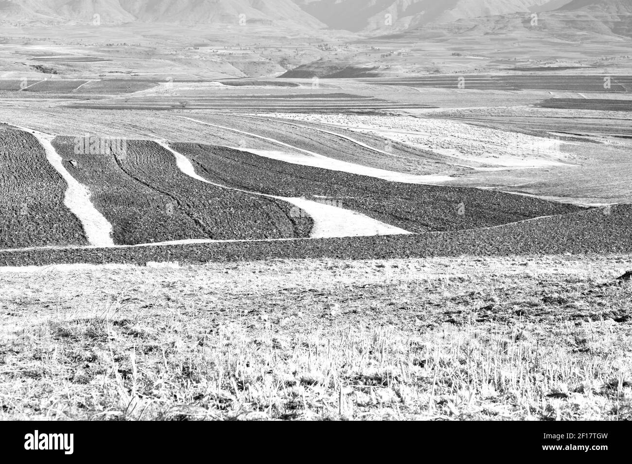 Farm countryside near village Black and White Stock Photos & Images - Alamy