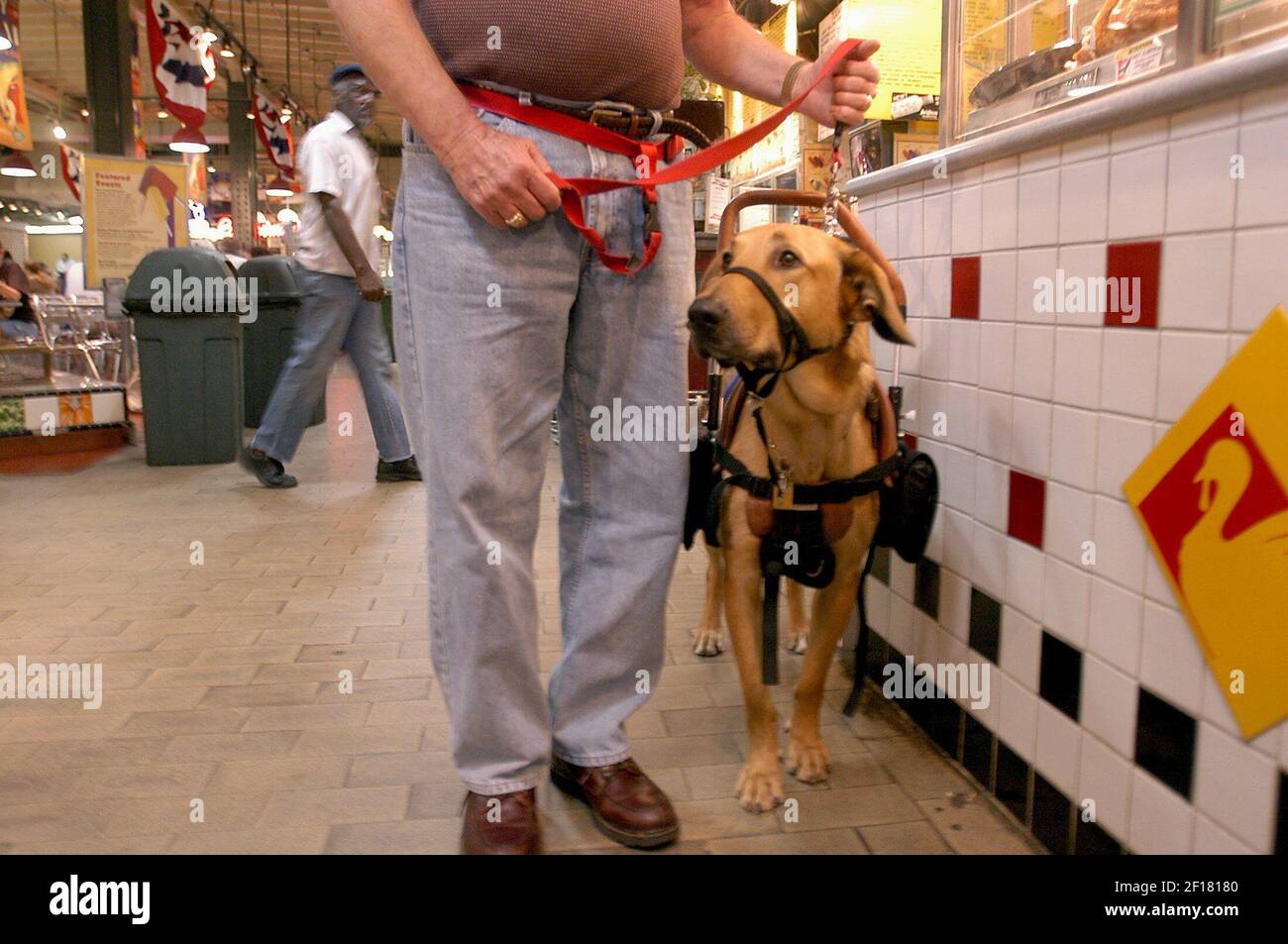 KRT LIFESTYLE STORY SLUGGED: PETS-DIABETICS KRT PHOTO BY BONNIE WELLER ...