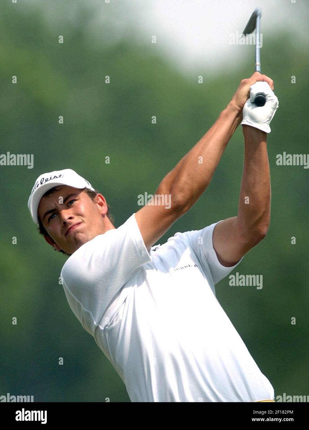 KRT SPORTS STORY SLUGGED: GLF-BOOZALLEN KRT PHOTO BY GEORGE BRIDGES/KRT ...