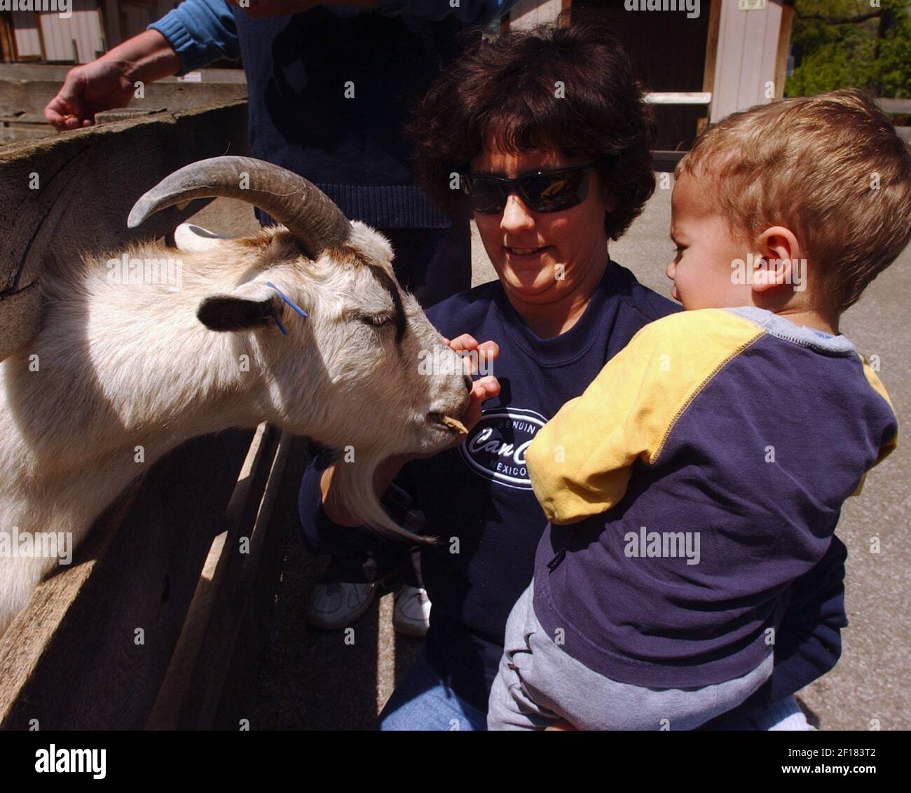 KRT LIFESTYLE STORY SLUGGED: FAM-HEALTH-ZOOFEVER KRT PHOTOGRAPH BY PAUL ...