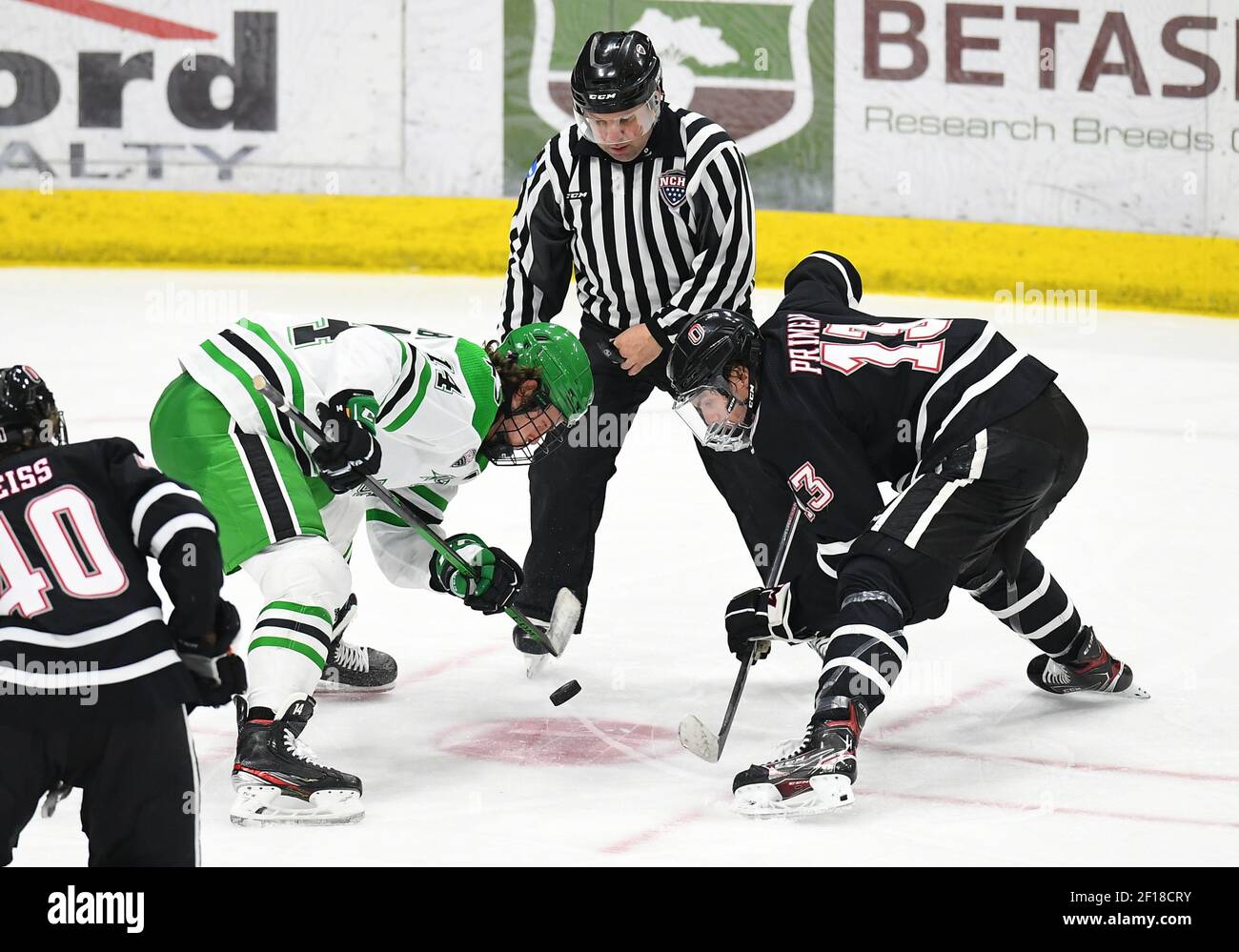 March 5, 2021 North Dakota Fighting Hawks forward Jasper Weatherby (14 ...