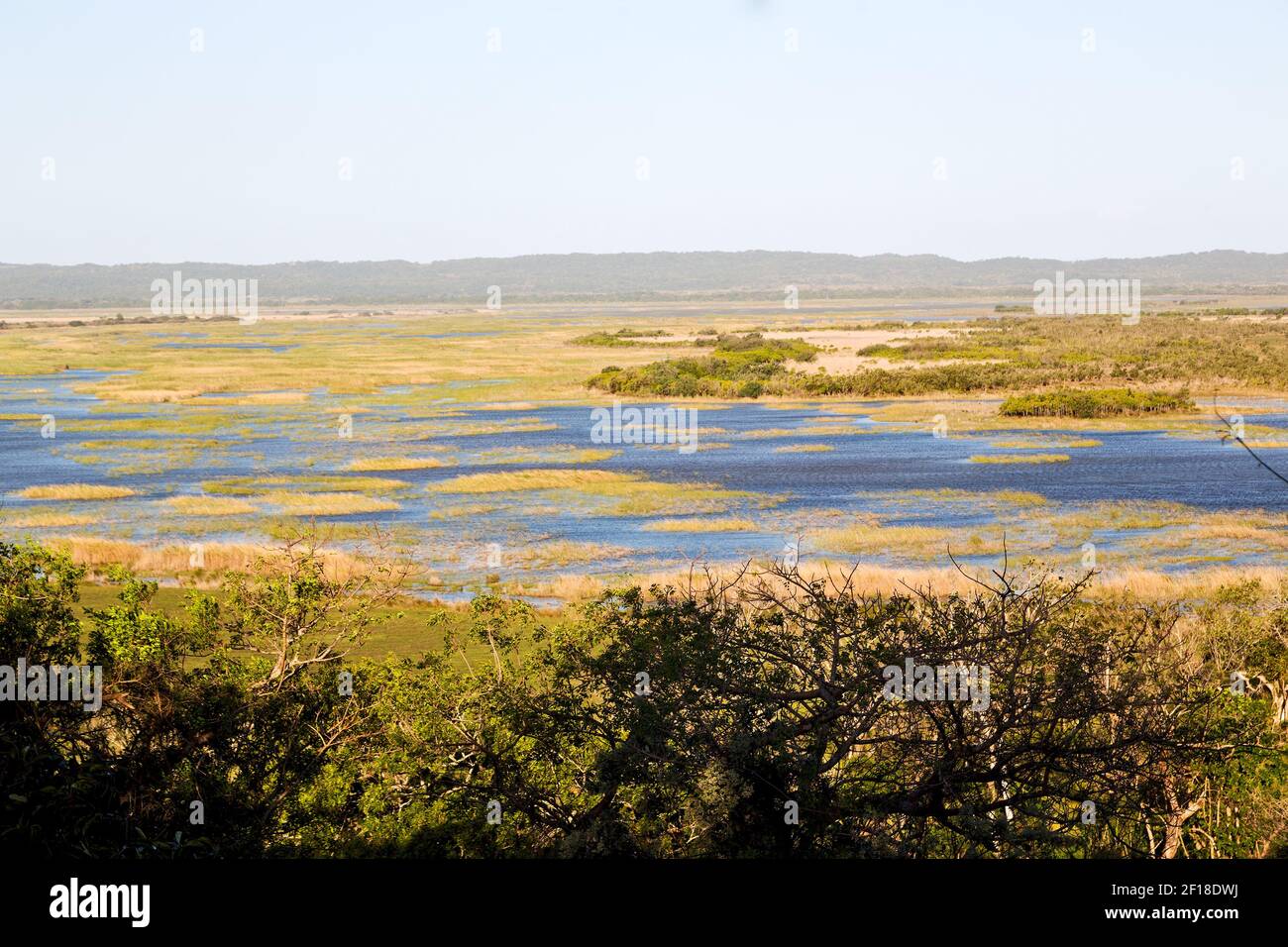 In south africa pond lake nature reserve and bush Stock Photo - Alamy