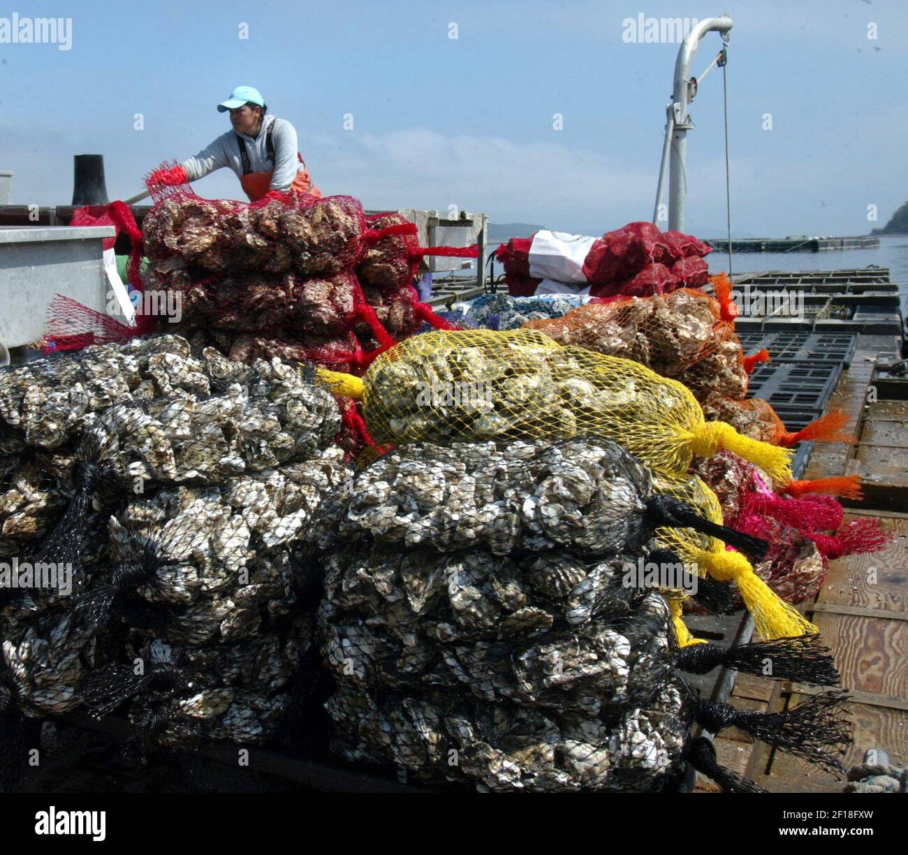 -- NO MAGS, NO SALES -- KRT US NEWS STORY SLUGGED: SHELLFISHINDUSTRY ...