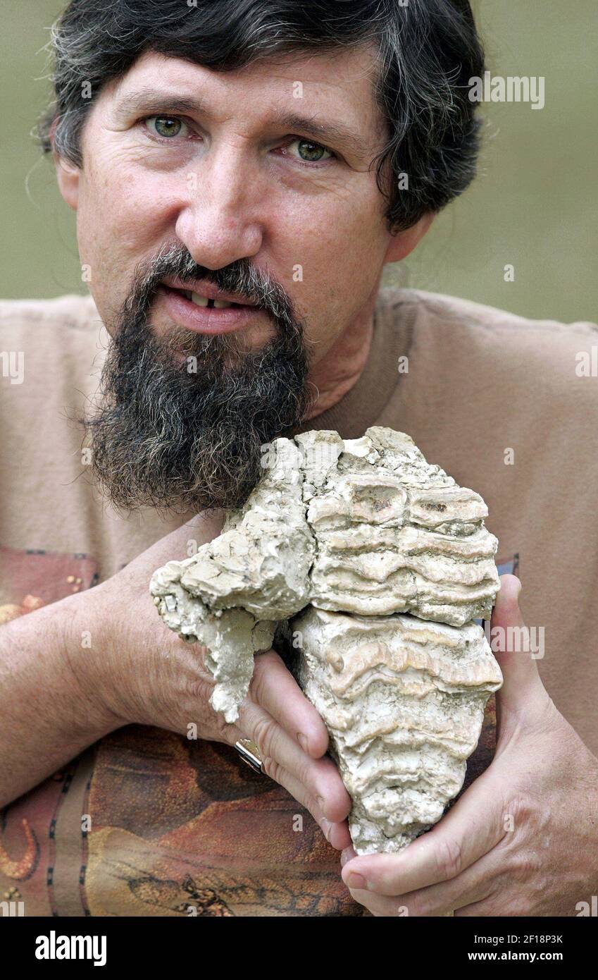 KRT US NEWS STORY SLUGGED: SCI-MAMMOTHTOOTH KRT PHOTO BY JIM BARCUS ...