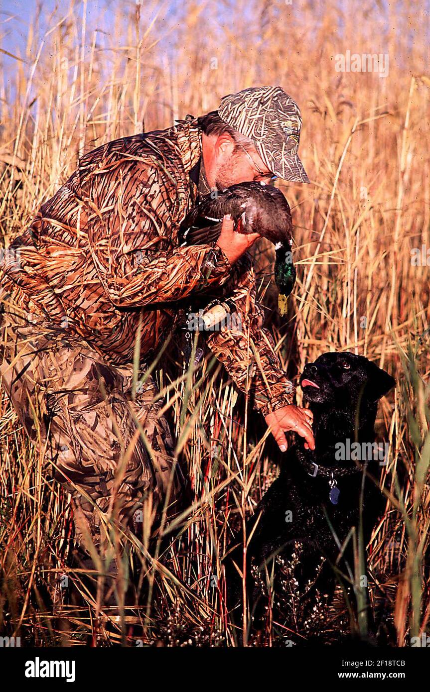 t10.04.04 Sam Cook - cookDUCKc4 -- Mike Furtman of Duluth talks to his ...