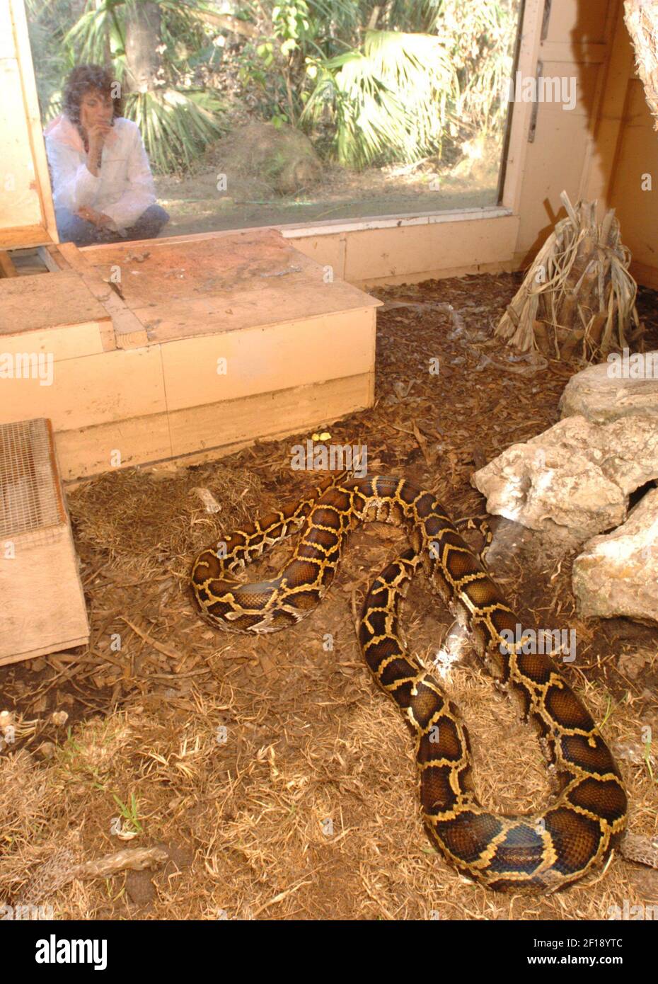 KRT US NEWS STORY SLUGGED: ENV-SNAKES KRT PHOTOGRAPH BY GEORGE SKENE ...