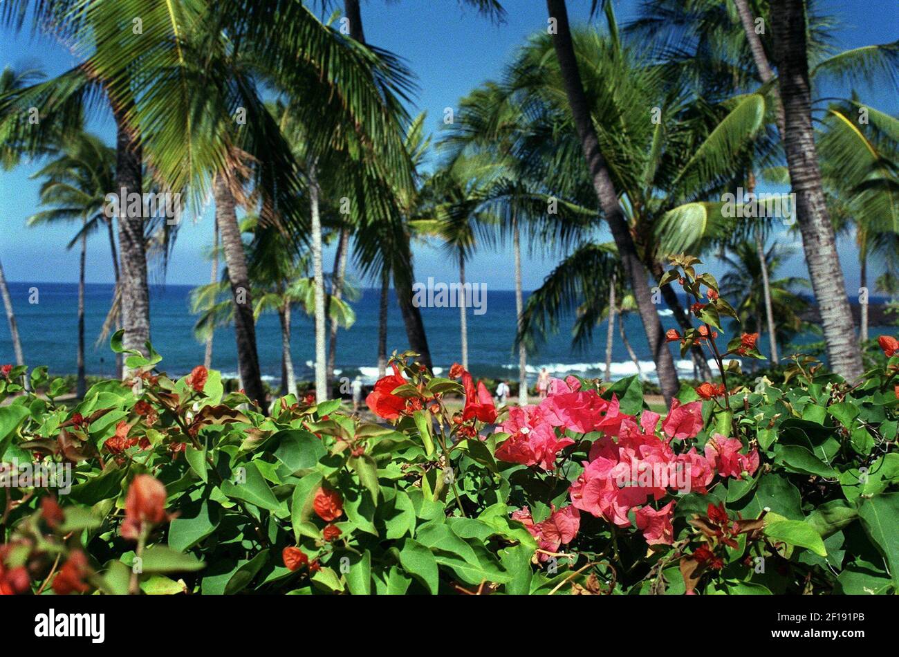 KRT TRAVEL STORY SLUGGED: CRU-HANAHIGHWAY KRT PHOTOGRAPH BY RON COBB/ST ...