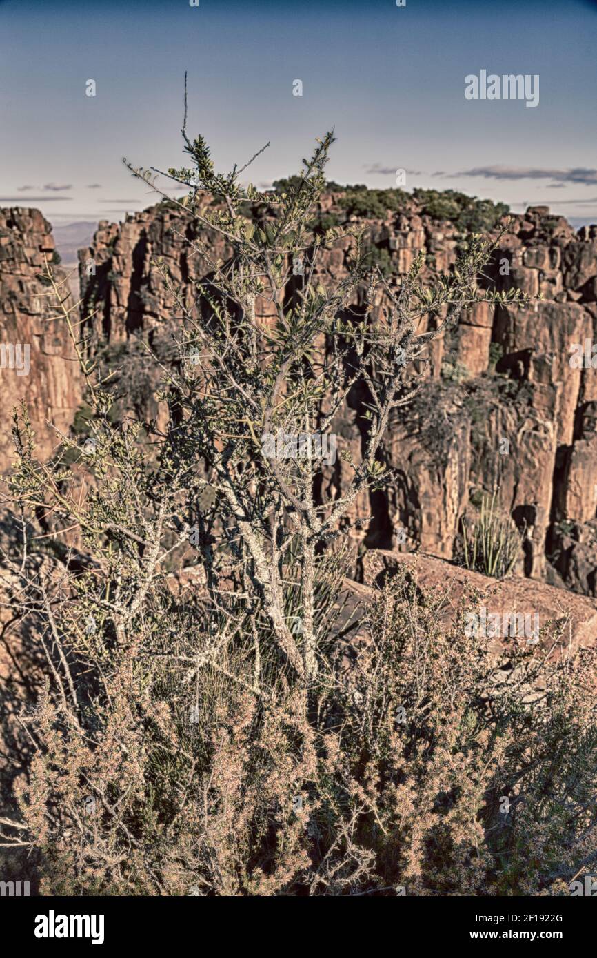 In south africa valley of desolation Stock Photo - Alamy