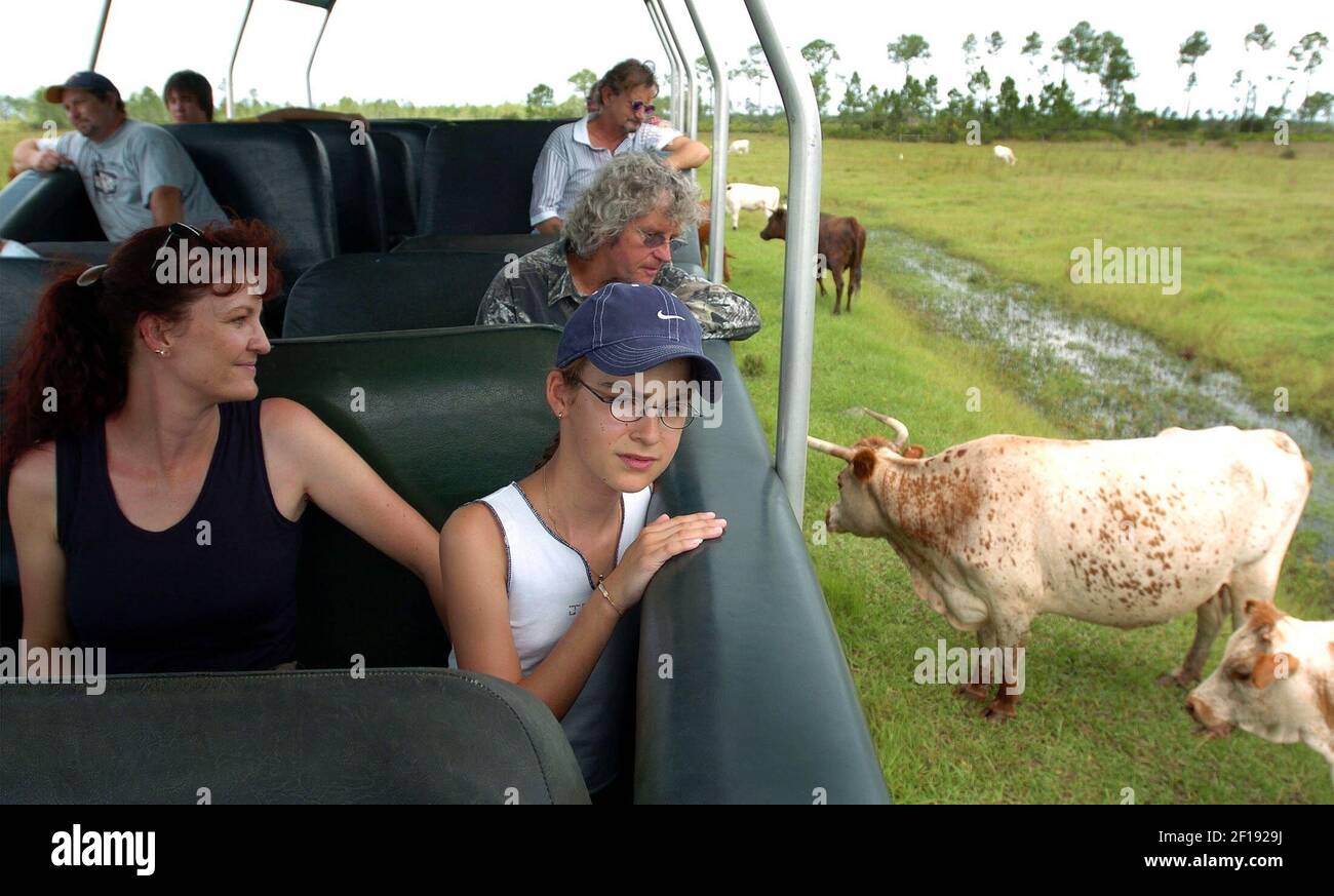 KRT US NEWS STORY SLUGGED: ENV-FLORIDA-RANCH KRT PHOTO BY JULIE ...