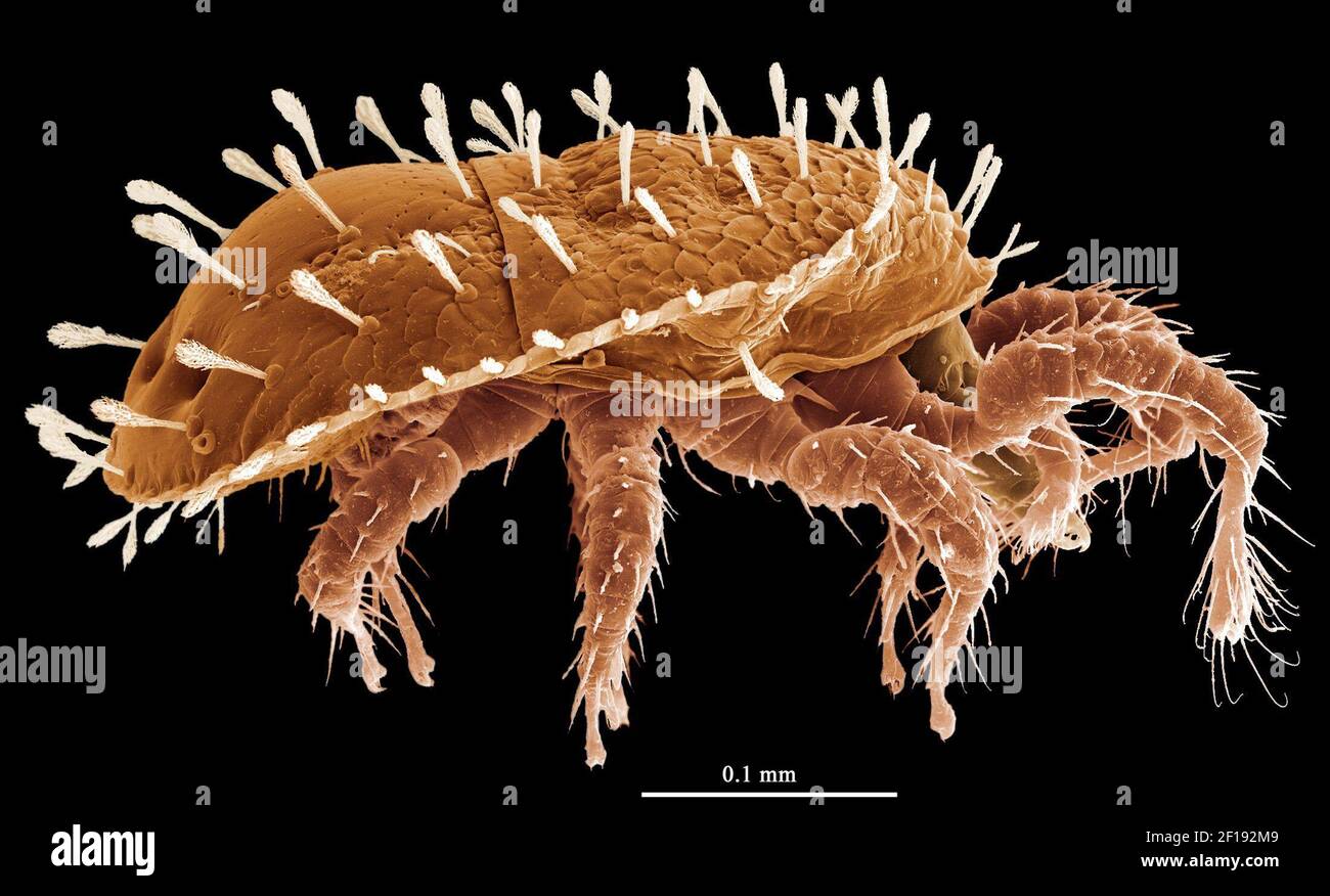 KRT US NEWS STORY SLUGGED: SCI-UNDERGROUND KRT PHOTO BY DAVID WALKER ...