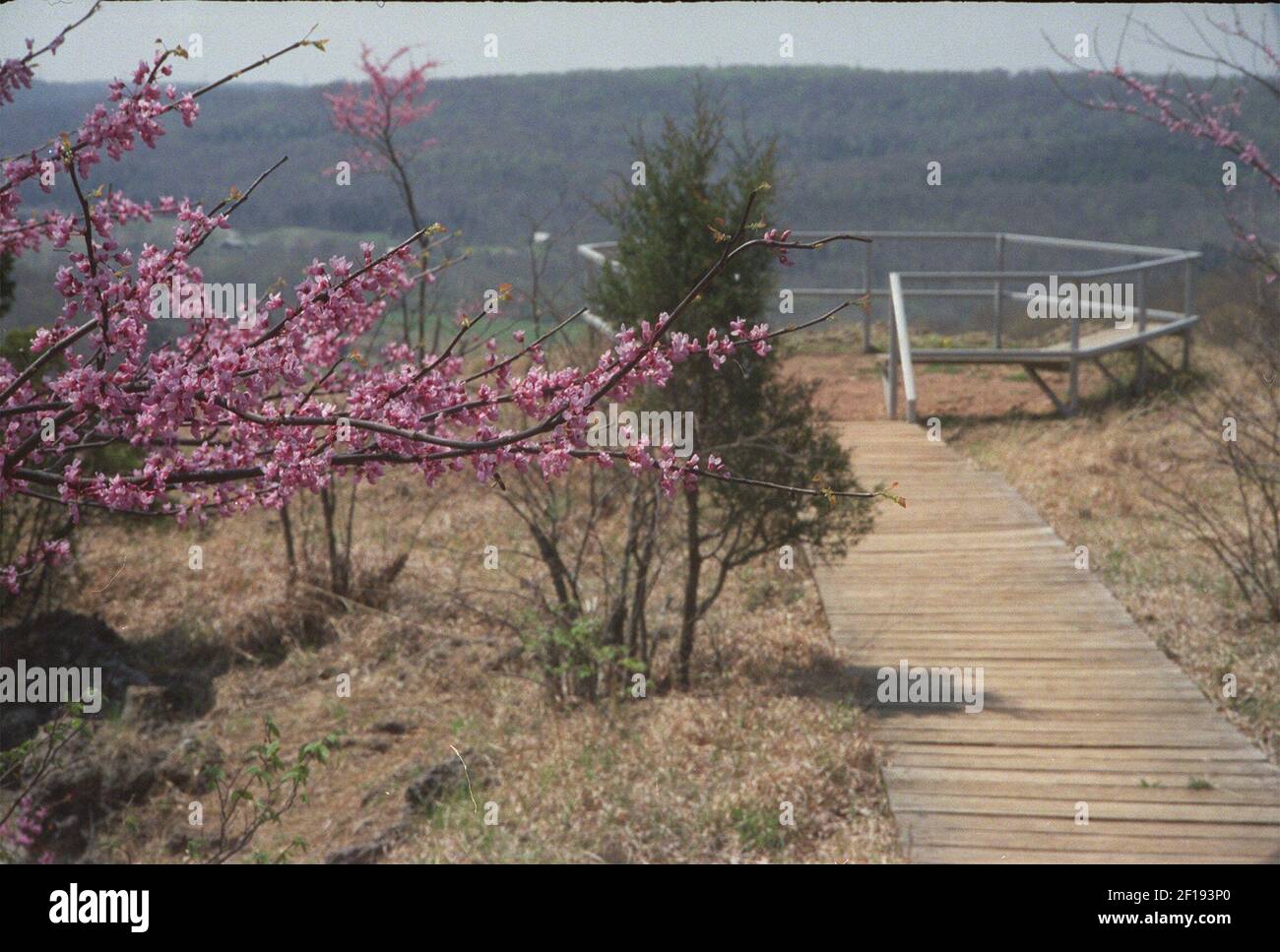 KRT TRAVEL STORY SLUGGED: UST-WILDERNESS KRT PHOTOGRAPH BY BOB DOWNING ...
