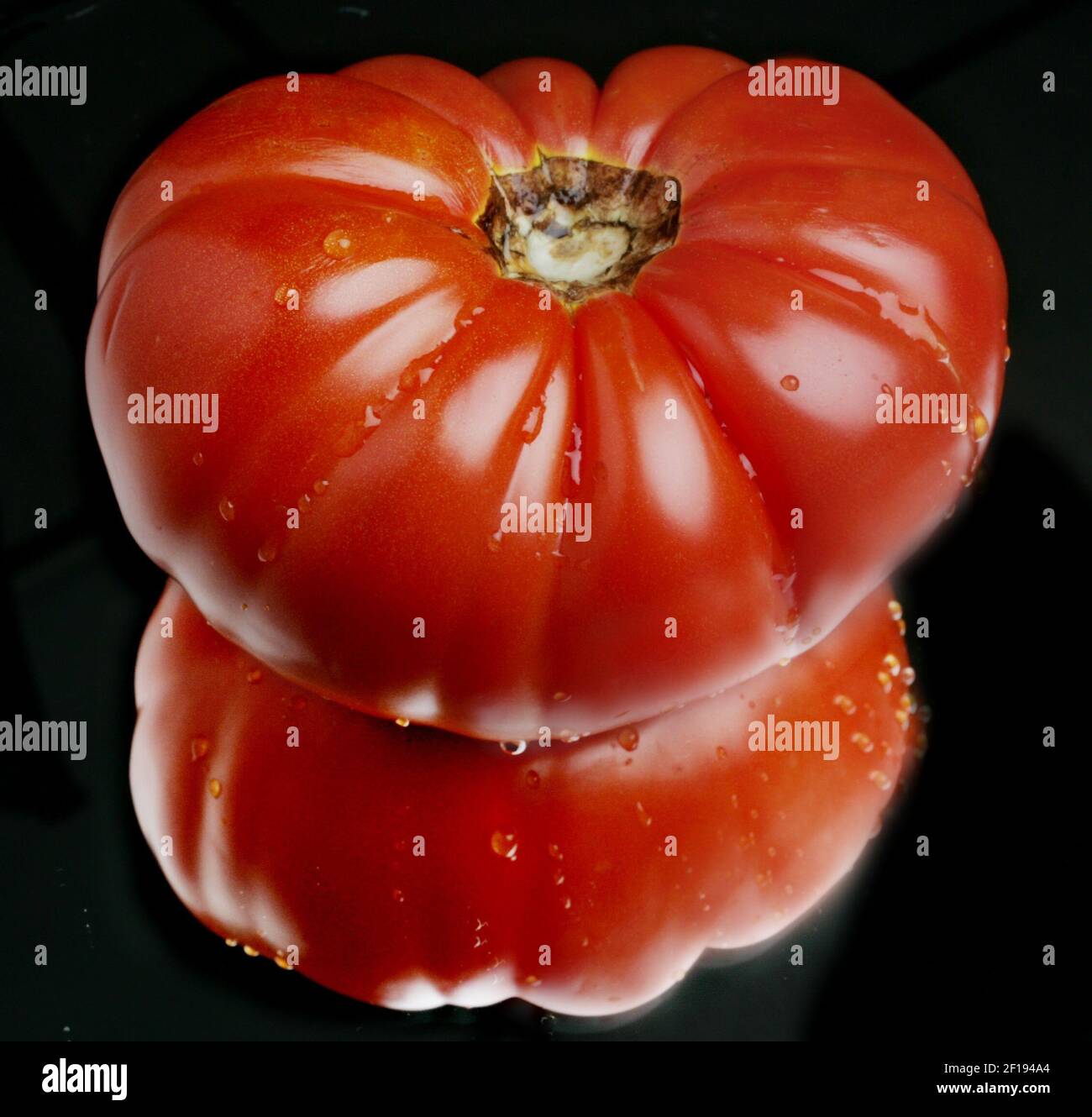 KRT US NEWS STORY SLUGGED: SCI-UGLYTOMATO KRT PHOTOGRAPH BY MIKE EWEN ...